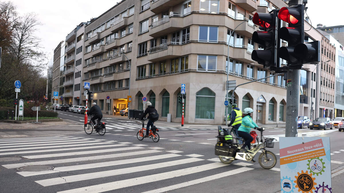 Luxembourg court fines cyclist €300 for looking at phone on his bike ...