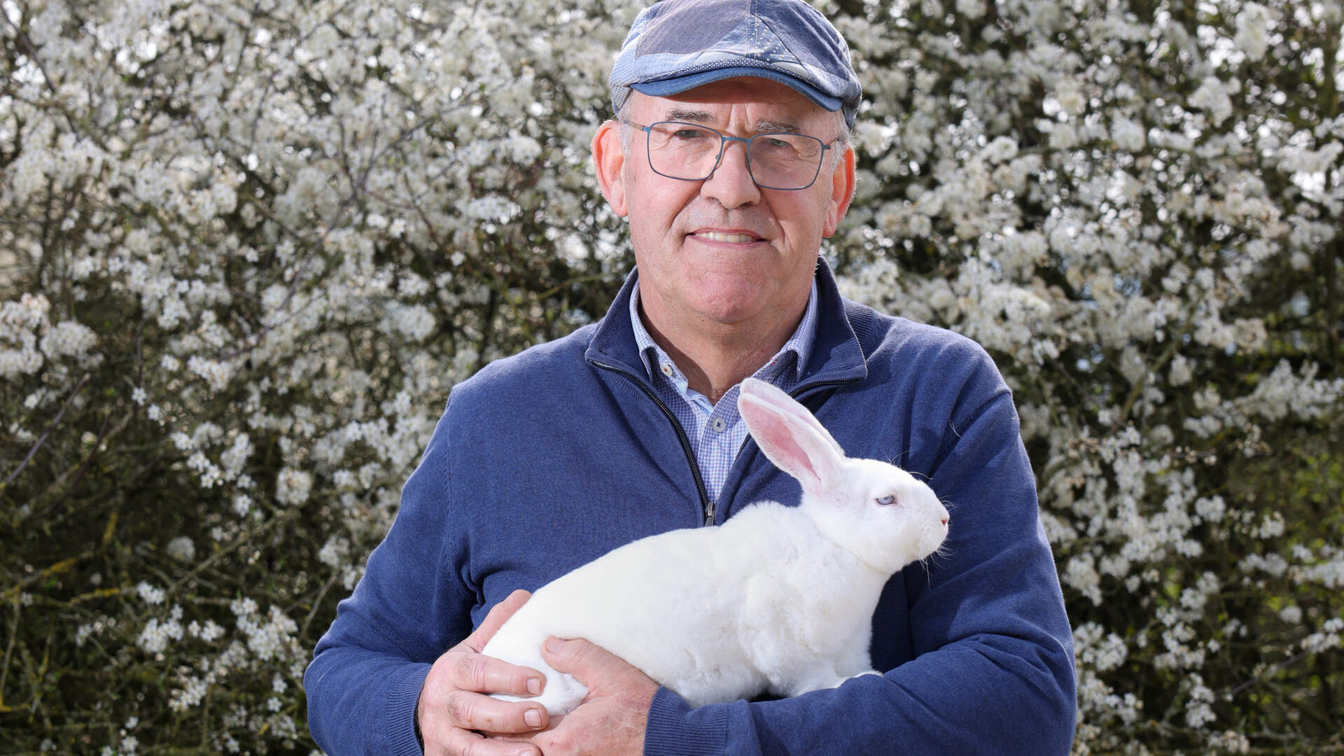 Kleintierzucht in Schüttringen: Besuch bei Pierre Modert | Luxemburger Wort