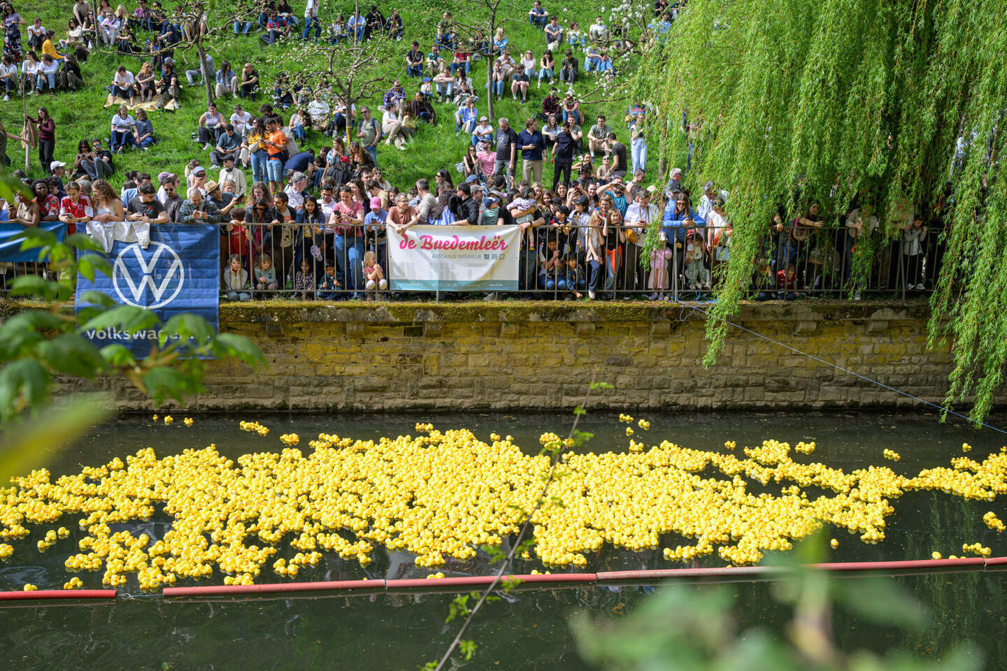 “Duck Race” in Luxembourg-Grund: 20,000 rubber ducks to raise money for ...