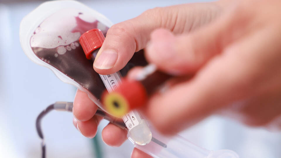 Blutspenden in Luxemburg: So bereitest du dich richtig vor ...