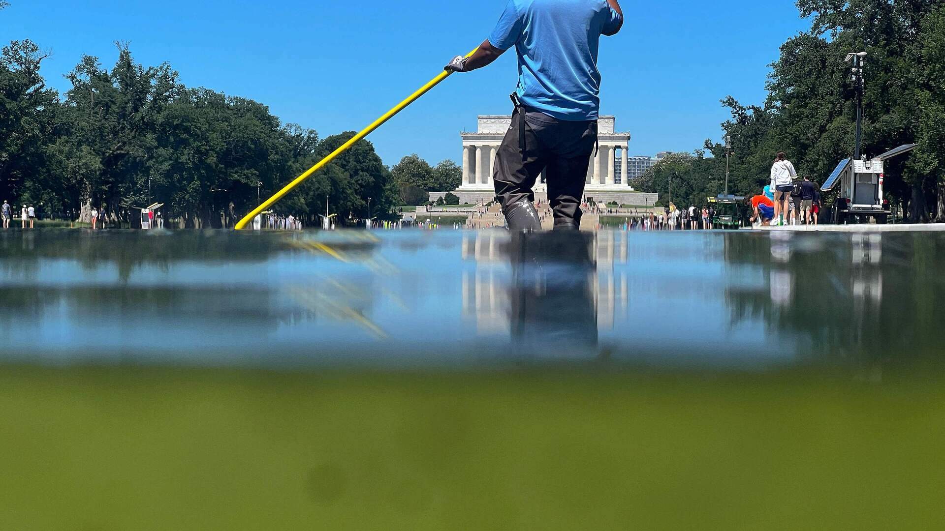 Trotz 14 Millionen Dollar - Washingtons Pool ist wieder grün ...