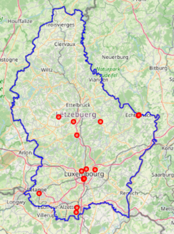 Die Nosferatu-Spinne erobert Luxemburg | Luxemburger Wort